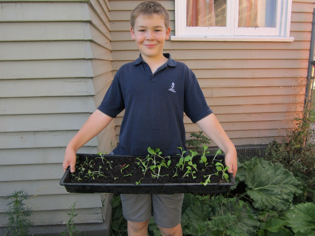 Vegetable Gardening in Schools and Pre-schools • A Place of Learning